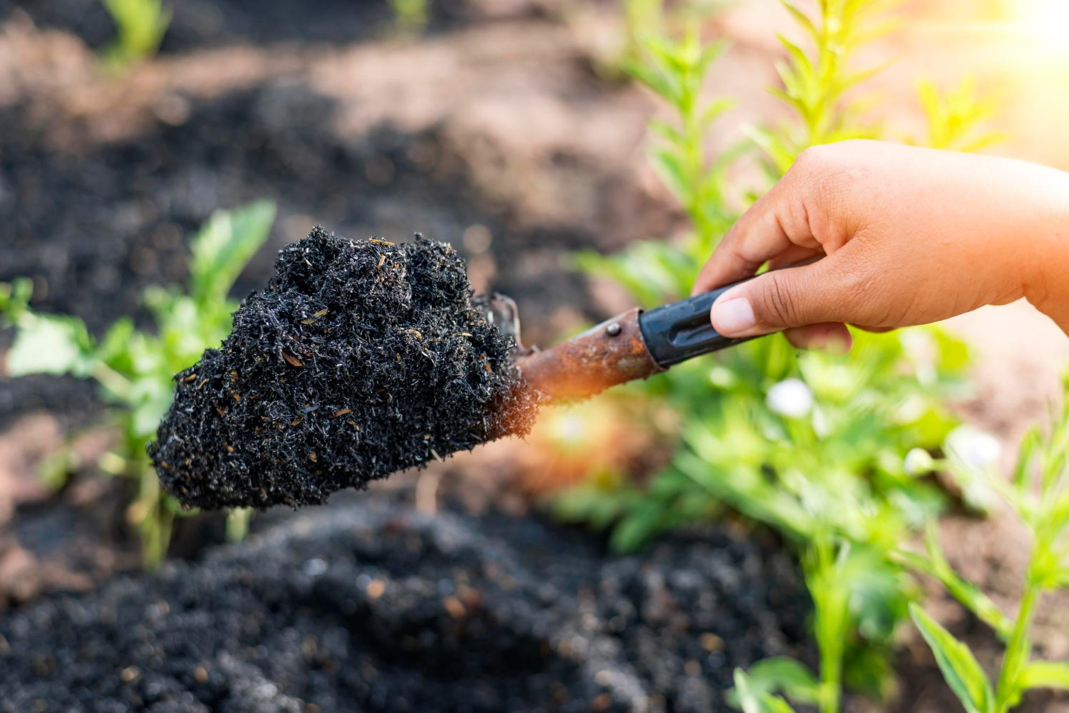 Understanding NPK Liquid Gel Fertilizers: Benefits and Uses - anbr