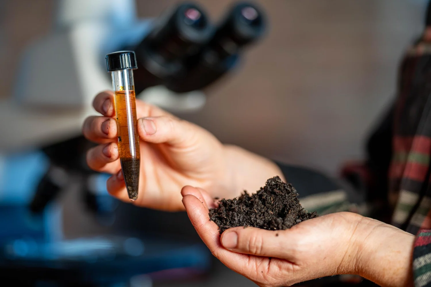 What Are Biofertilizers and How Do They Improve Soil Health? - anbr